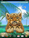Waptrick.com - Wild Animals ดาวน์โหลด Android วอลล์เปเปอร์ที่อาศัยอยู่ ...