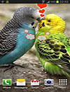 Waptrick.com - Talking Birds Descargar Android Live Wallpaper ...
